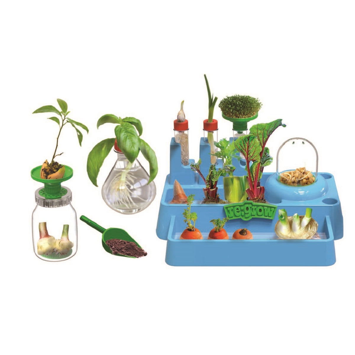 Science To The Max - Regrow Lab – Daves Deals